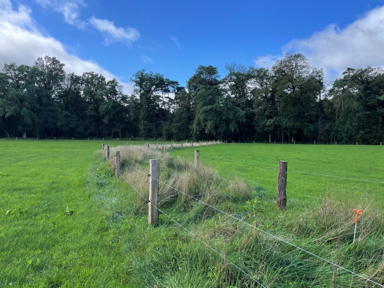 ANV Hollands Noorden - ANV Hollands Noorden